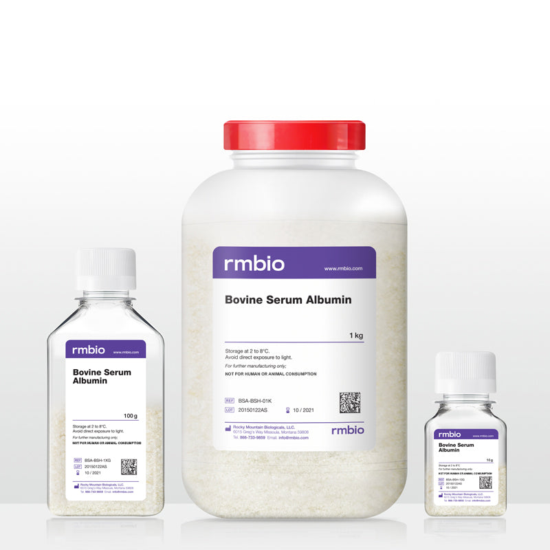 Bovine Serum Albumin Standard Heat Shock - BSA – RMBIO