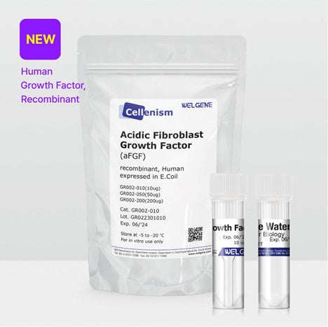 Acidic Fibroblast Growth Factor aFGF – RMBIO